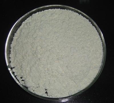 China Acetamiprid 97% TC Pesticide Technical Grade Insecticide for Crop Protection for sale