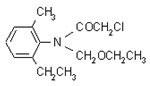 China Acetochlor 90% EC 40% WP Selective Grass Herbicide for Maize Soybean for sale