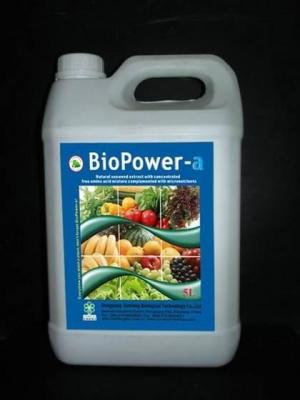 China BioPower-A Seaweed Fertilizer with Amino Acids 8% N 7% B 0.3% for Crop Growth for sale