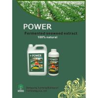 China Fermented Seaweed Extract Organic Fertilizer 100% Natural Biotech 18 Amino Acids for sale