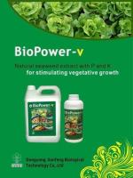 China Organic Foliar Seaweed Fertilizer BioPower-v 300g/L P2O5 K2O for Vegetative Growth for sale