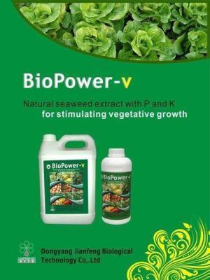 China Organic Foliar Seaweed Fertilizer BioPower-v 300g/L P2O5 K2O for Vegetative Growth for sale
