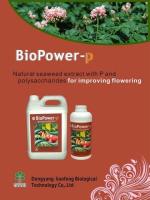 China BioPower-P Liquid Seaweed Compound Fertilizer 7-18-0 with 300g/L Seaweed Extract for Flowering for sale