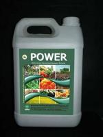 China 100% Natural Seaweed Extract Organic Fertilizer Additive 5L Bio-Fermented for sale