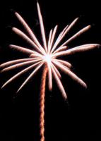 China Professional 10 Shot Roman Candle Fireworks Multicolor Crackling Palm Effect 1.4G UN0336 for sale