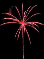 China Professional 10 Shot Roman Candle Fireworks Multicolor Crackling Palm Effect 1.4G UN0336 for sale
