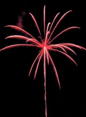 China Professional 10 Shot Roman Candle Fireworks Multicolor Crackling Palm Effect 1.4G UN0336 for sale