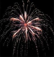 China 325 Shot Peony Palm Tree Roman Candle 1.4G UN0336 Consumer Fireworks for Halloween for sale