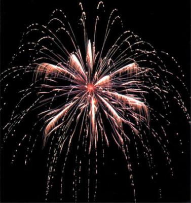 China 325 Shot Peony Palm Tree Roman Candle 1.4G UN0336 Consumer Fireworks for Halloween for sale