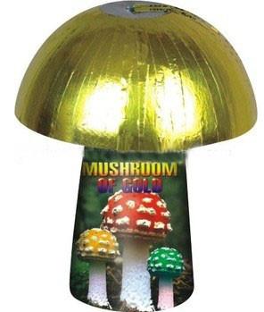 China Customized Mushroom Consumer Fountain Fireworks 1.4G F6406 ISO9001 CE for sale