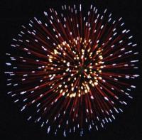 China 25 Shots 1.4G Fan-Shape Cake Fireworks 30mm Tube Colorful Wedding Display for sale