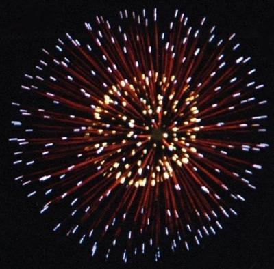 China 25 Shots Fan-Shape Cake Fireworks 30 Seconds Display for Weddings Christmas for sale