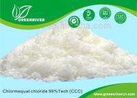 China Chlormequat Chloride 99% TC Plant Growth Regulator White Crystalline Powder CCC PGR for sale