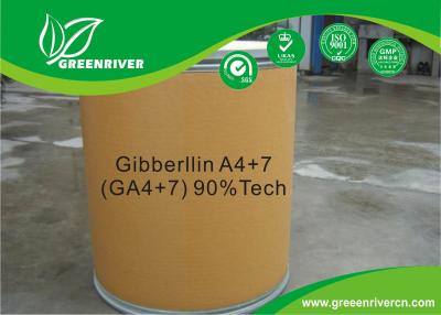 China Gibberellic Acid 90% Tech Plant Growth Regulator CAS 77-06-5 for Seed Potatoes for sale