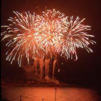 China Multi Shot Round Display Shell Fireworks 5 Inch 6 Inch for New Year Holiday for sale