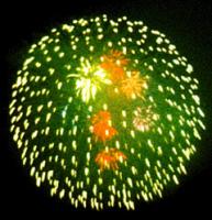 China Big Colorful Peony 2 to 8 Inch Multi Shot Mortar Fireworks Display Shells for sale