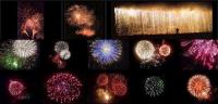 China 6 Inch Display Shells Fireworks Peony Palm Tree Effect for Weddings Celebrations for sale