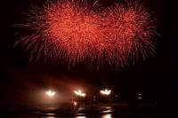 China Custom 25 Shot Palm Tree 1.4G Consumer Fireworks Cake for Wedding Party for sale