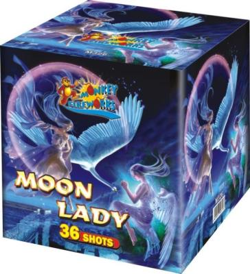 China 1.4G UN0336 Consumer Fireworks OEM Custom Size and Design Available for sale