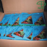 China Water Soluble NPK Fertilizer 19-19-19 for Crop Growth and Yield Enhancement for sale