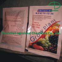 China Water Soluble NPK Fertilizer 19-19-19 for Crop Growth and Yield Enhancement for sale