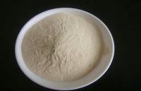 China Industrial Grade Chitosan Poly Glucosamine Powder 80% Deacetylation for Biological Fertilizer for sale
