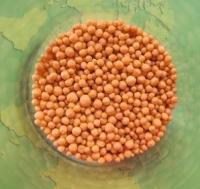 China NPK 20-20-20+TE Water Soluble Fertilizer 60% Purity for Plants Lawns for sale