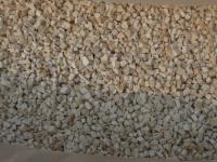 China Organic Fresh Chinese Yam Iron Yam 8% Moisture for Spleen Stomach Health for sale