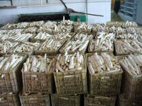 China Organic Fresh Chinese Yam Iron Yam 8% Moisture for Spleen Stomach Health for sale