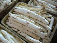 China Organic Fresh Chinese Yam Iron Yam 8% Moisture for Spleen Stomach Health for sale