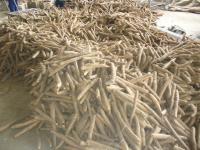 China Organic Fresh Chinese Yam Iron Yam 8% Moisture for Spleen Stomach Health for sale