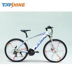China 48V Lithium Battery Powered Mountain Bike Electric Dirt Bike 20 Mph for sale