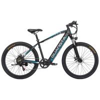 China 750W 500 Watt Electric Bike Electric Mountain Bike With Rainproof Ebike LCD Display Showing E Message for sale
