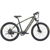 China 750W 500 Watt Electric Bike Electric Mountain Bike With Rainproof Ebike LCD Display Showing E Message for sale