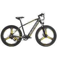 China 750W 500 Watt Electric Bike Electric Mountain Bike With Rainproof Ebike LCD Display Showing E Message for sale