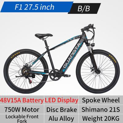 China 750W 500 Watt Electric Bike Electric Mountain Bike With Rainproof Ebike LCD Display Showing E Message for sale