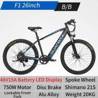 China 750W 500 Watt Electric Bike Electric Mountain Bike With Rainproof Ebike LCD Display Showing E Message for sale