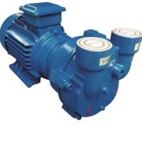 China 2BV 2BV-P1 Series Water Ring Vacuum Pump And Compressor Oil Free Self Priming Liquid Ring Pump for sale