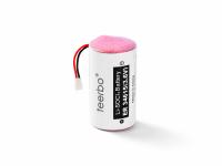 China Lithium Thionyl Chloride Battery Packs with Low Self Discharge High Stability and Customizable Wire and Plug Options for Power Solutions for sale