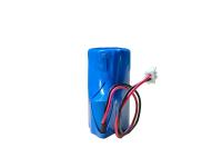 China High-rate Li-SOCl2 Battery Pack with Superior Anti-Passivation, Wide Temperature Range, and Upgraded Capacity for IoT Devices for sale