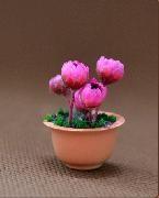 China model potted plant,model material,decoration fllower,1:25 artificial pot,,3CM potted plant for sale