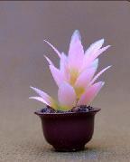 China model potted plan,1:20model material,decoration fllower,artificial pot,1:25,3CM potted plant for sale