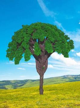 China artificial mini trees,model trees,model materials,architectural model trees,scale tree,model stuffs for sale