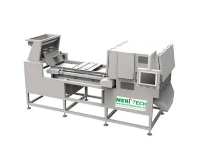 China Conveyor Belt Soybean Color Sorter High Resolution CCD For Coffee Cherry for sale