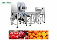 China Multichannel Vegetable Grading Machine 220v 50hz Visual Detection System for sale