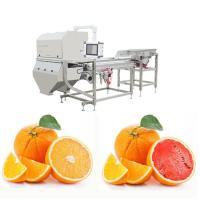 China Vegetables Fruit Sorting Equipment 3kw Orange Sorter Machine for sale