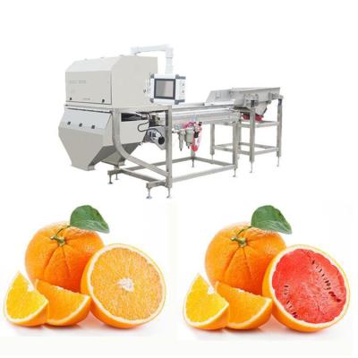 China Vegetables Fruit Sorting Equipment 3kw Orange Sorter Machine for sale