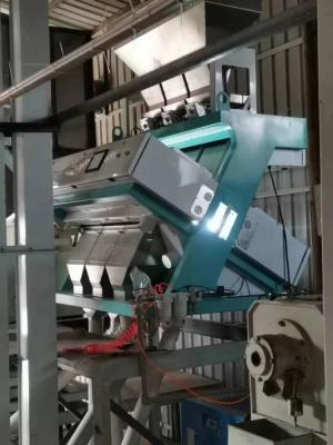 China Crawler Belt Style Pepper Sorting Machine 1000kg ISO9000 approval for sale