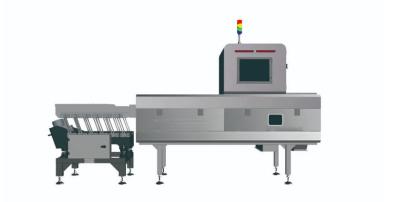 China SS304 Body X Ray AI Sorting Machine With 17