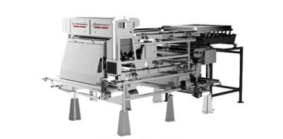 China Food Grade SS304 CCD AI Vegetable Sorting Machine for sale